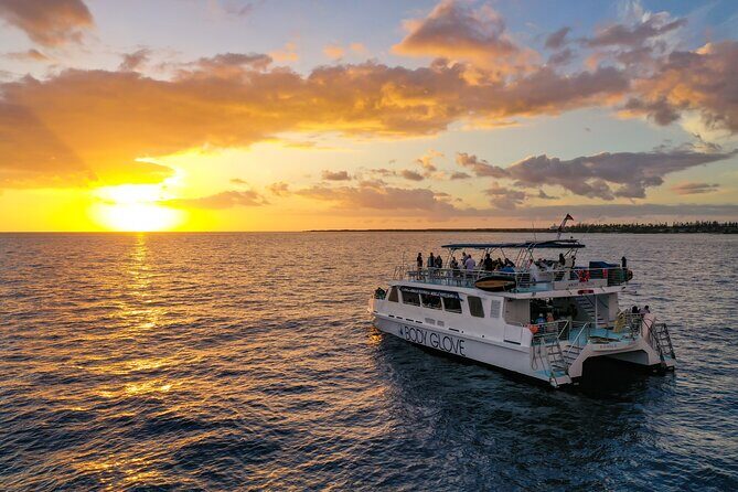 Historical Dinner Cruise to Kealakekua Bay - What Travelers Say: Authentic Perspectives