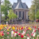 Historical Tour of The Hague - The Anatomy of the Tour: What to Expect