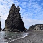 Hoh Rain Forest and Rialto Beach Guided Tour in Olympic National Park - Frequently Asked Questions