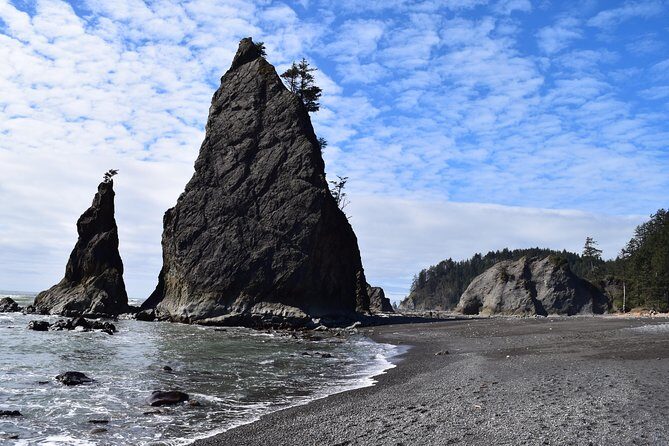 Hoh Rain Forest and Rialto Beach Guided Tour in Olympic National Park - Frequently Asked Questions