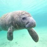 Holiday, FL: Anclote Key Preserve Private Boat Tour - Why This Tour Offers Value