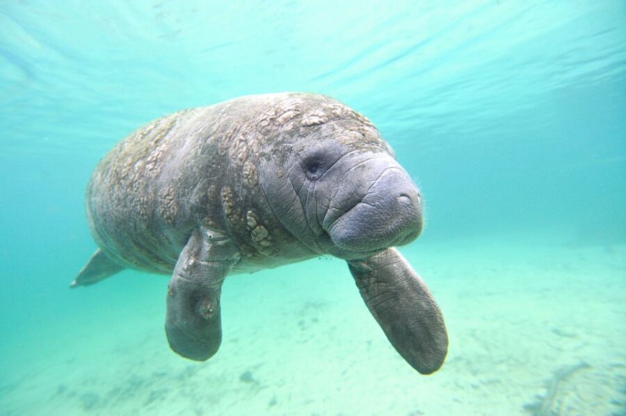 Holiday, FL: Anclote Key Preserve Private Boat Tour - Why This Tour Offers Value