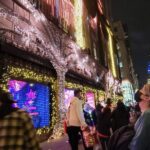 Holiday Lights Extravaganza Walking Tour - What’s the Experience Like on the Ground?