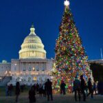 Holiday Lights Private Night Bus Tour of Washington DC - Transportation and Timing