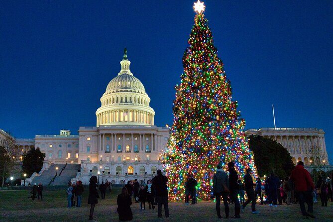 Holiday Lights Private Night Bus Tour of Washington DC - Transportation and Timing