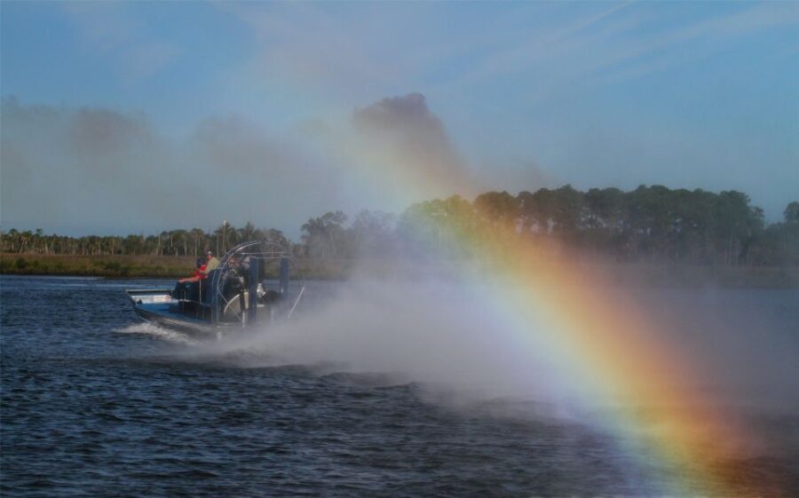 Homosassa: Gulf of Mexico Airboat Ride and Dolphin Watching - The Itinerary in Detail