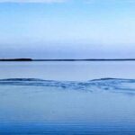 Homosassa Inshore Fishing Charters - Final Thoughts