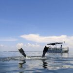 Homosassa: Snorkel & Scallop Hunt in Gulf of Mexico - The Itinerary and What to Expect