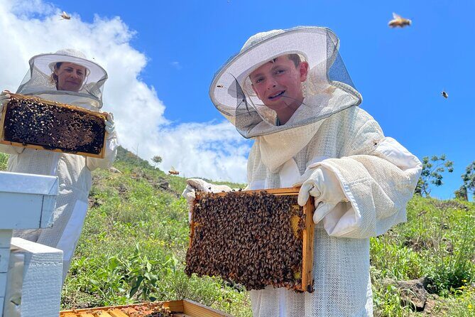 Honey Bee Adventure at the Maui Honey Bee Sanctuary - Final Thoughts: Is It Worth It?