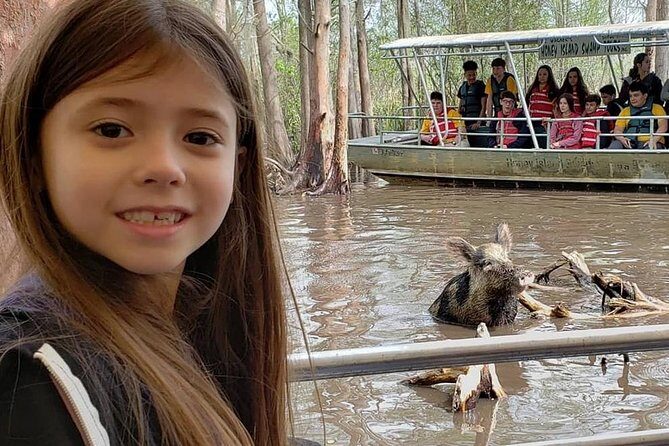 Honey Island Swamp Boat Tour with Transportation from New Orleans - The Itinerary in Detail