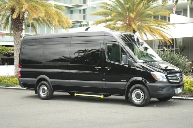 Honolulu Airport Departure by Sprinter Van - Meeting Points and Convenience