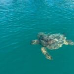 Honolulu: Intro to Stand-Up Paddling Class - Whats Included and Whats Not