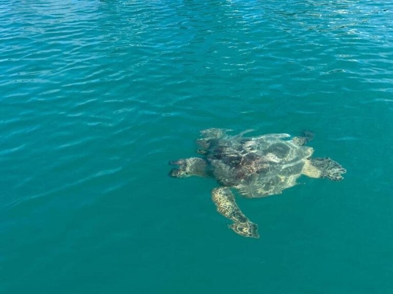 Honolulu: Intro to Stand-Up Paddling Class - Whats Included and Whats Not