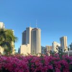 Honolulu Scavenger Hunt and Highlights Self-Guided Tour - The Itinerary: What You’ll Discover