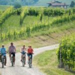 Hood River: All-Day E-Bike Rental - The Value of the Experience