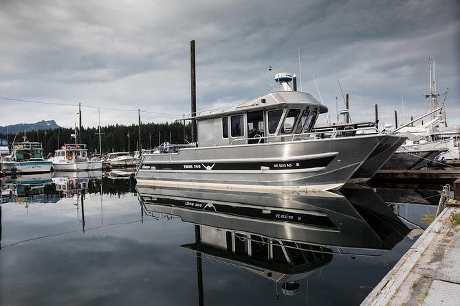 Hoonah Whale Tours - The Itinerary: What to Expect