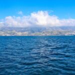 Hop-on Hop-off Bus Tour and Catamaran Whale & Dolphin Watching - Authentic Experiences and Real Traveler Insights