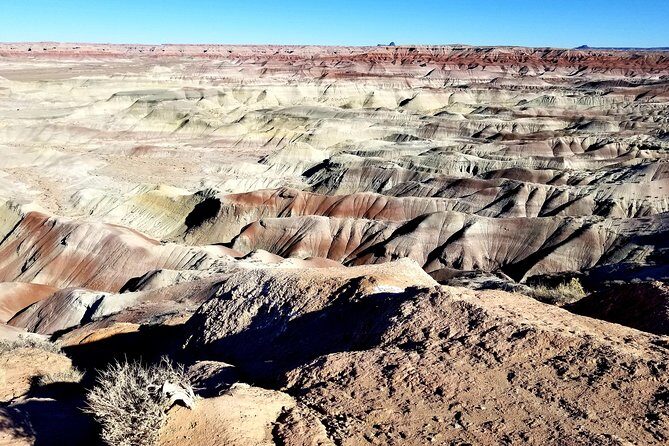 Hopi Cultural and Archaeological Day Trip from Sedona or Flagstaff - Food and Comfort