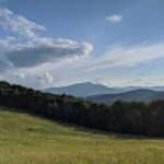 Horse and Carriage Ride through Moses H. Cone Park - Authentic Experiences and Travelers’ Impressions