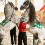 Horse and Flamenco Show in Malaga with Dinner - Transitioning to a Typical Andalusian Restaurant