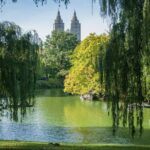 Horse Carriage Romantic Ride (VIP-Private) in Central Park 1964 - Who Is This Tour Best For?