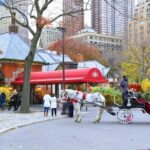 Horse Carriage Tour in New York City's Central Park Small Loop - What to Expect - The Practicalities