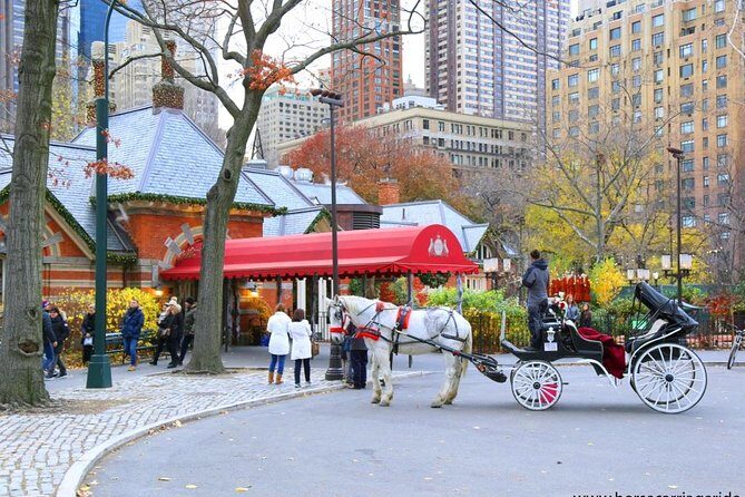 Horse Carriage Tour in New York City's Central Park Small Loop - What to Expect - The Practicalities