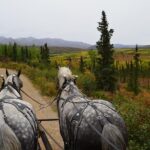 Horse-Drawn Covered Wagon Ride with Backcountry Dining - In-Depth Breakdown of the Itinerary