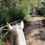 Horse ride in a Salento Nature Reserve with transfer from Lecce - Transportation and Group Size