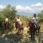 Horse ride, Olive Oil and local foods tasting in a Tuscan farm - What Makes This Tour Special