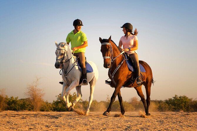 Horse Riding in Antalya,Belek,Lara Beach(Sunrise,Sunset,Day Time) - The Price and Its Value