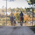 Horse Riding in the Countryside - The Itinerary: What You Can Expect