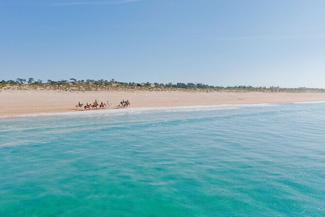 Horse Riding on the Beach with private transfer from Lisbon - Frequently Asked Questions