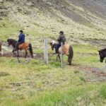 Horse Riding Tour in Reykjadalur (Smoky Valley)-All Riding Levels - The Itinerary: What to Expect