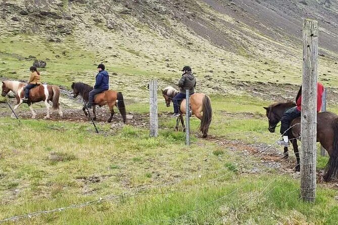 Horse Riding Tour in Reykjadalur (Smoky Valley)-All Riding Levels - The Itinerary: What to Expect