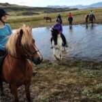 Horse Riding Tour to the Glacier River Delta with Waterfall - Detailed Breakdown of the Itinerary
