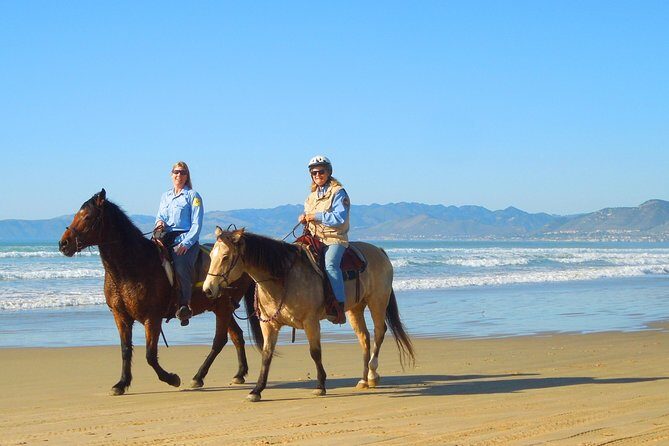 Horseback Ride & Alcatraz Prison Tickets - Who Will Love This Tour?