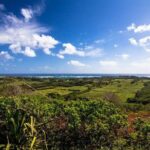 Horseback Ride Like an Authentic Paniolo in Kahuku - Who Will Love This Tour?