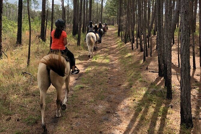 Horseback Ride on Scenic Lake Louisa Trails - The Itinerary: What Can You Expect?
