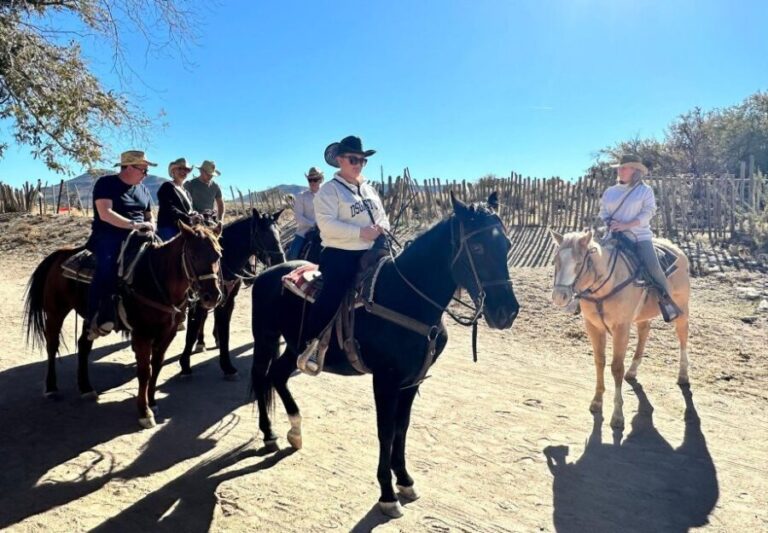 Horseback Ride thru Joshua Tree Forest with Buffalo & Lunch - The Practical Side: What You Need to Know