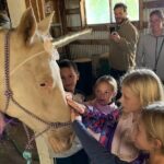 Horseback Rides, Interactions, and Petting Zoo - FAQs
