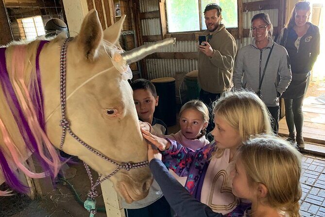 Horseback Rides, Interactions, and Petting Zoo - FAQs