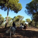 Horseback Riding Experience in Aljarafe, Doñana park from Seville - Final Thoughts