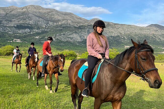 Horseback Riding Experience with transport from Dubrovnik - Authentic Feedback from Travelers