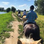 Horseback Riding Tour In Brasov - Ride Through Fields, Forests & Hills - What the Reviews Say