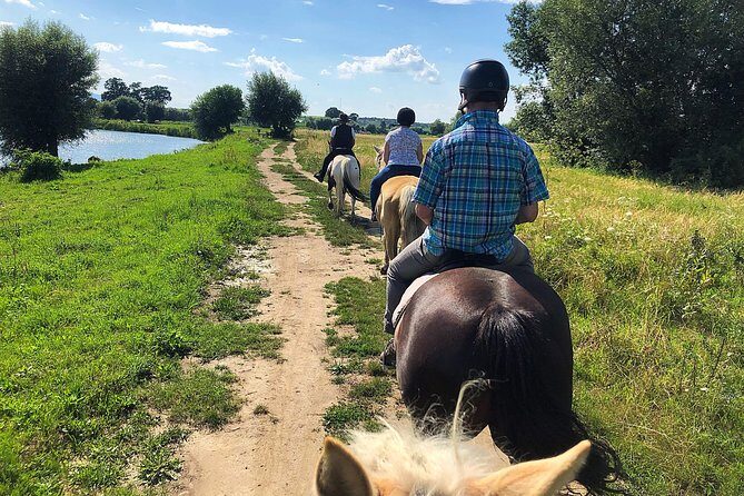 Horseback Riding Tour In Brasov - Ride Through Fields, Forests & Hills - What the Reviews Say