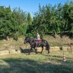 Horseback Riding Tour with Tuscan Picnic in Val d'Orcia and Valdichiana - Final Thoughts: Is This Tour for You?