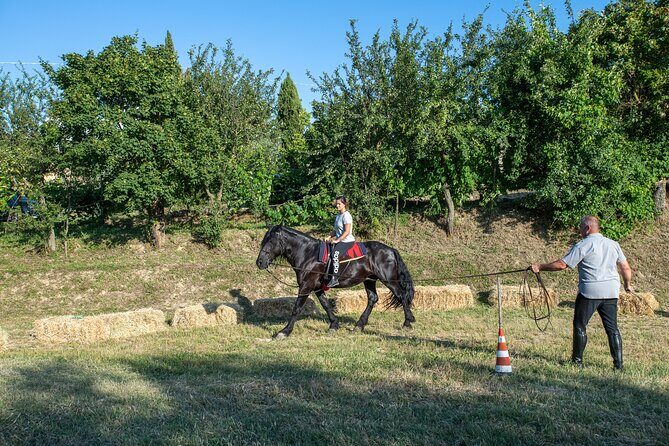 Horseback Riding Tour with Tuscan Picnic in Val d'Orcia and Valdichiana - Final Thoughts: Is This Tour for You?