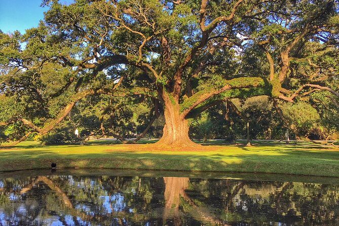 Houmas House Plantation Guided Tour - The Value of the Tour