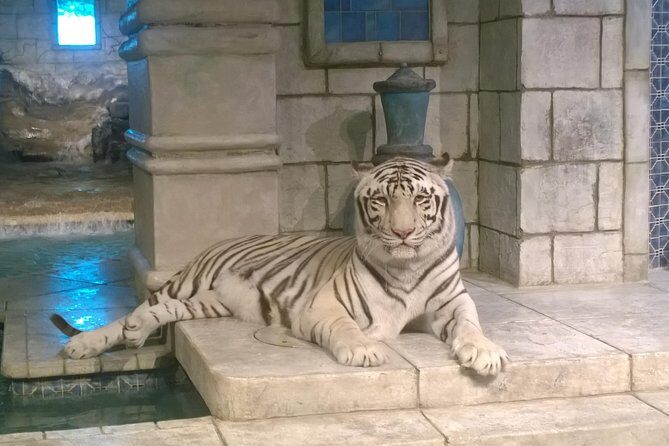 Houston City Tour and Downtown Aquarium All Rides Pass - The Itinerary Breakdown